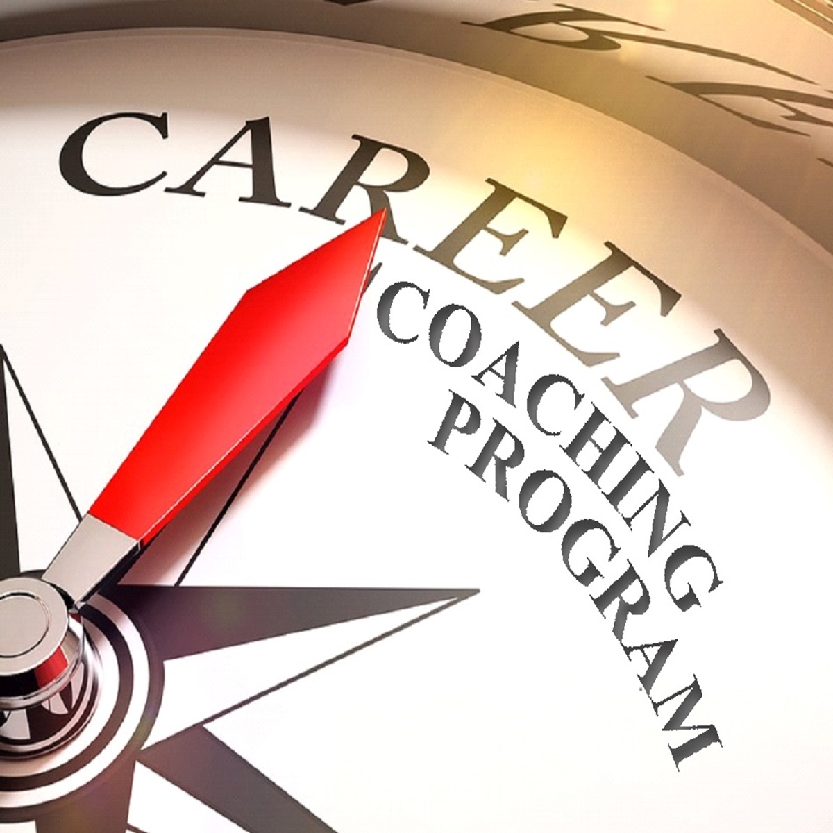 Top Career Coaching Program